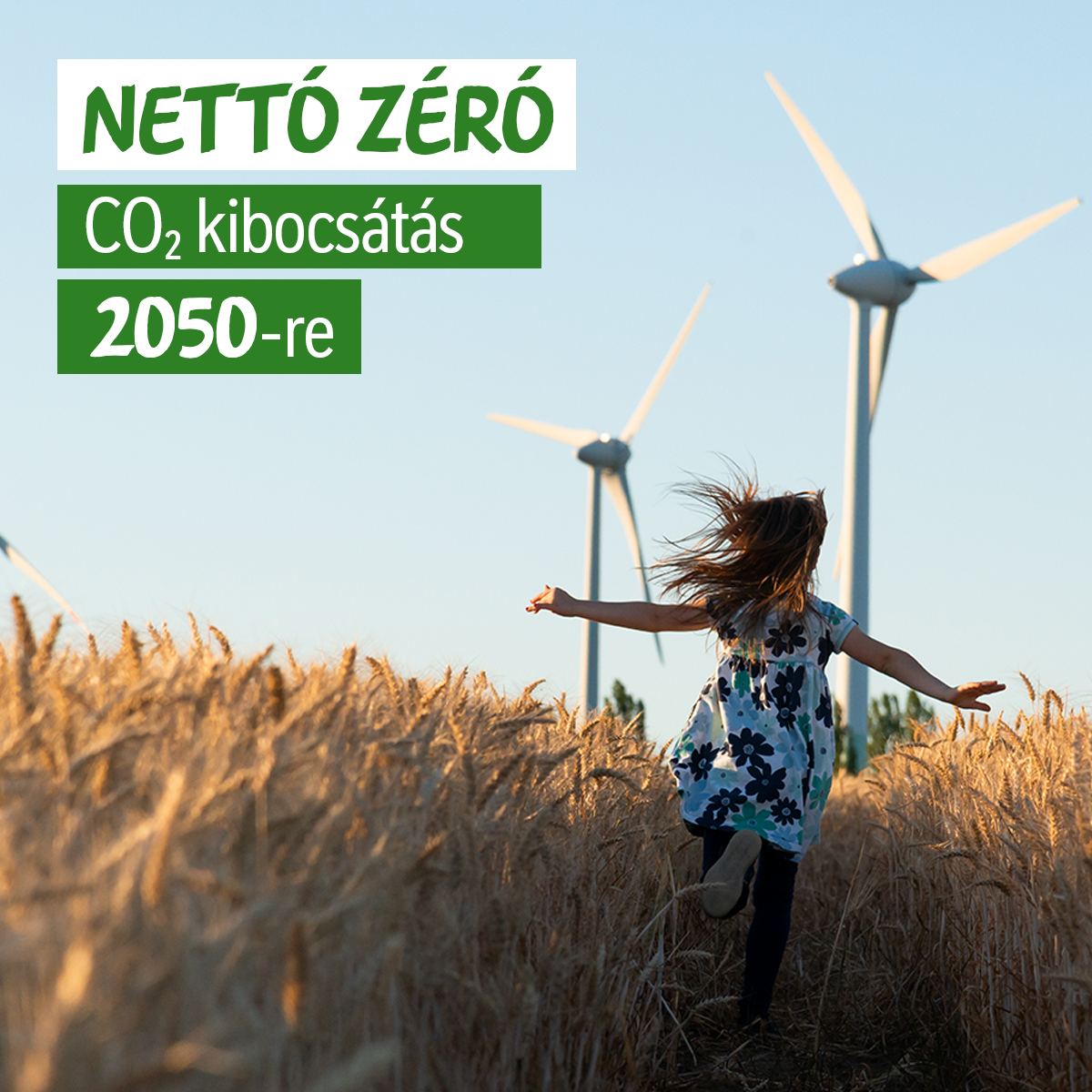 A Nestle 2050-re karbonsemleges lesz | CSR Hungary